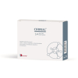 Tobral coll 5ml 0,3% - Confronta Prezzi - Prezzifarmaco.it
